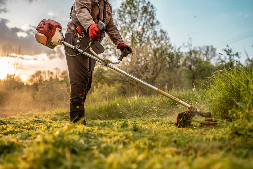 Scrub Management Nelson Tasman | Paramount Contracting